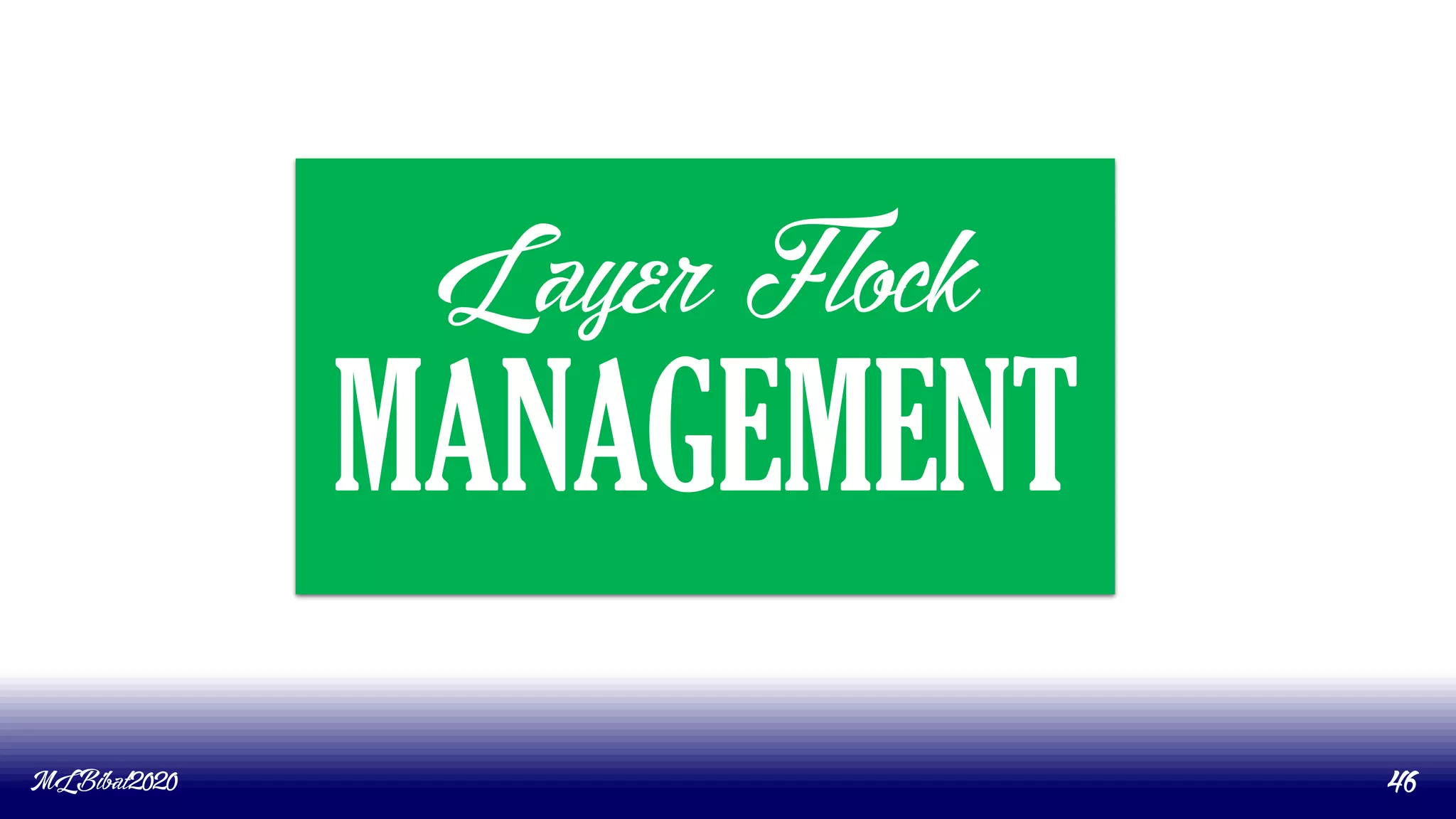 Poultry production management | PDF