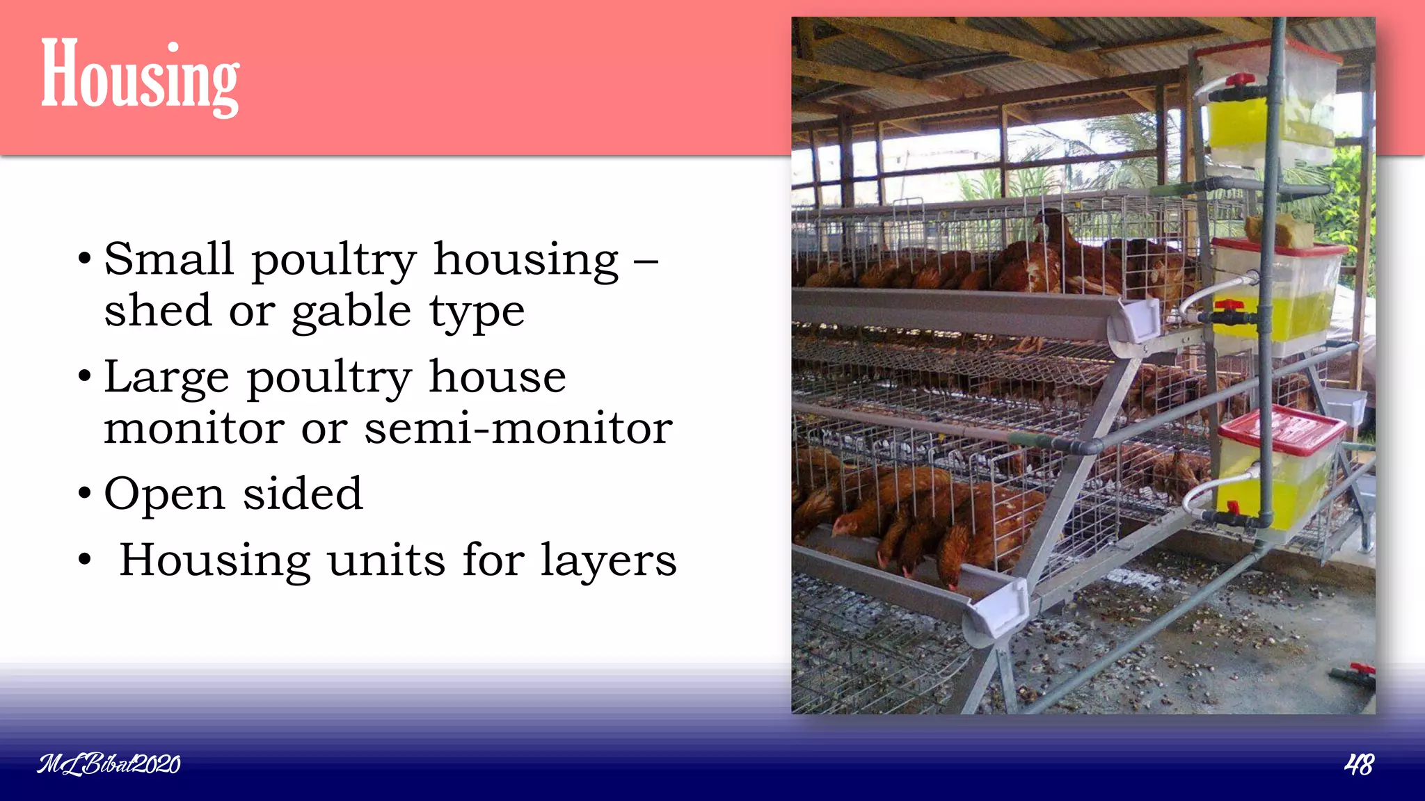 Poultry production management | PDF