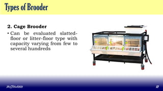 Poultry production management | PDF