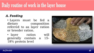 Poultry production management | PDF