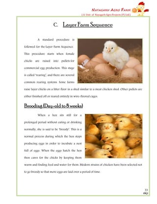 Poultry project report | PDF