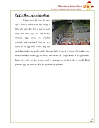 Poultry project report | PDF
