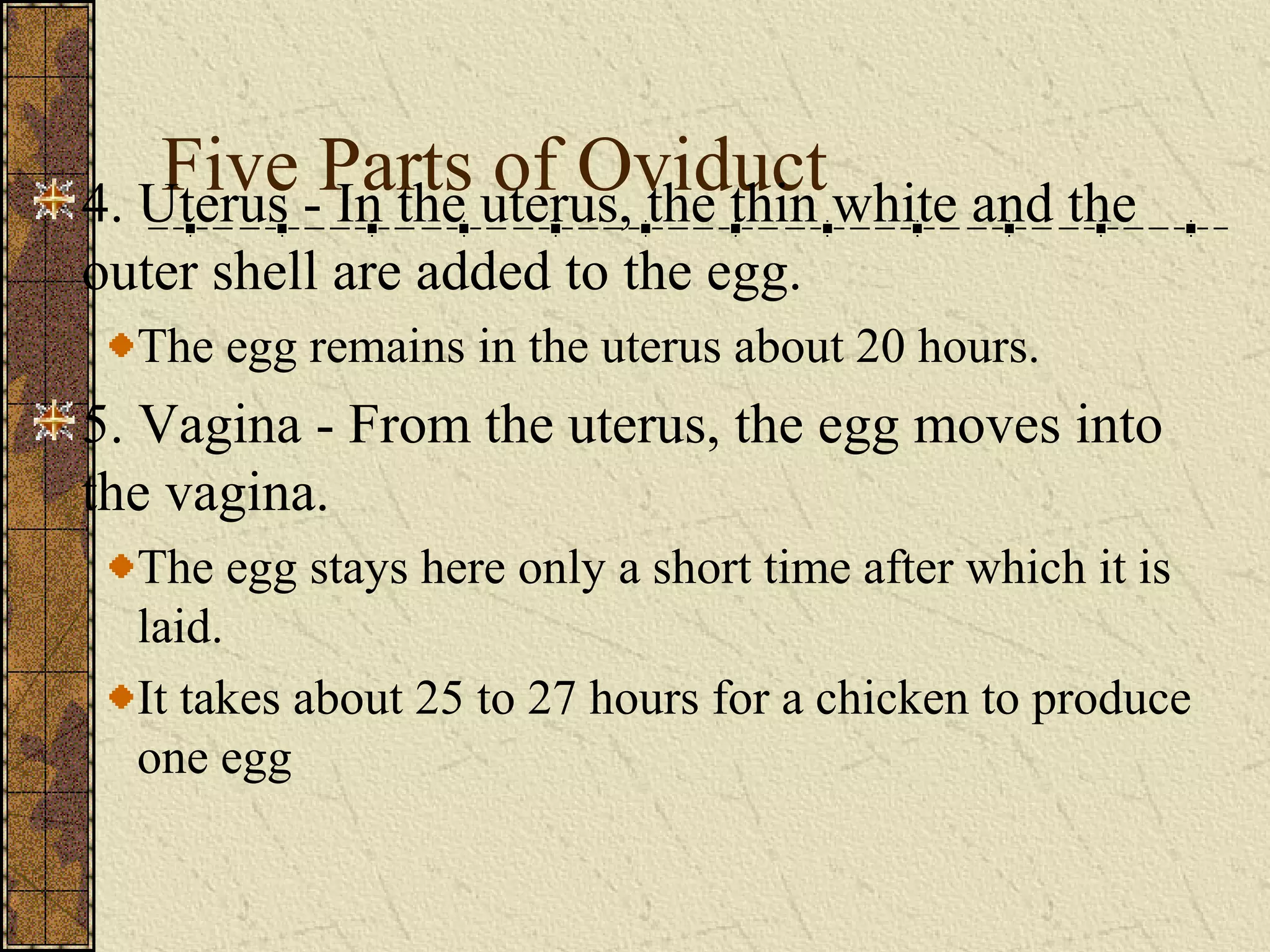 Poultry reproduction | PPT