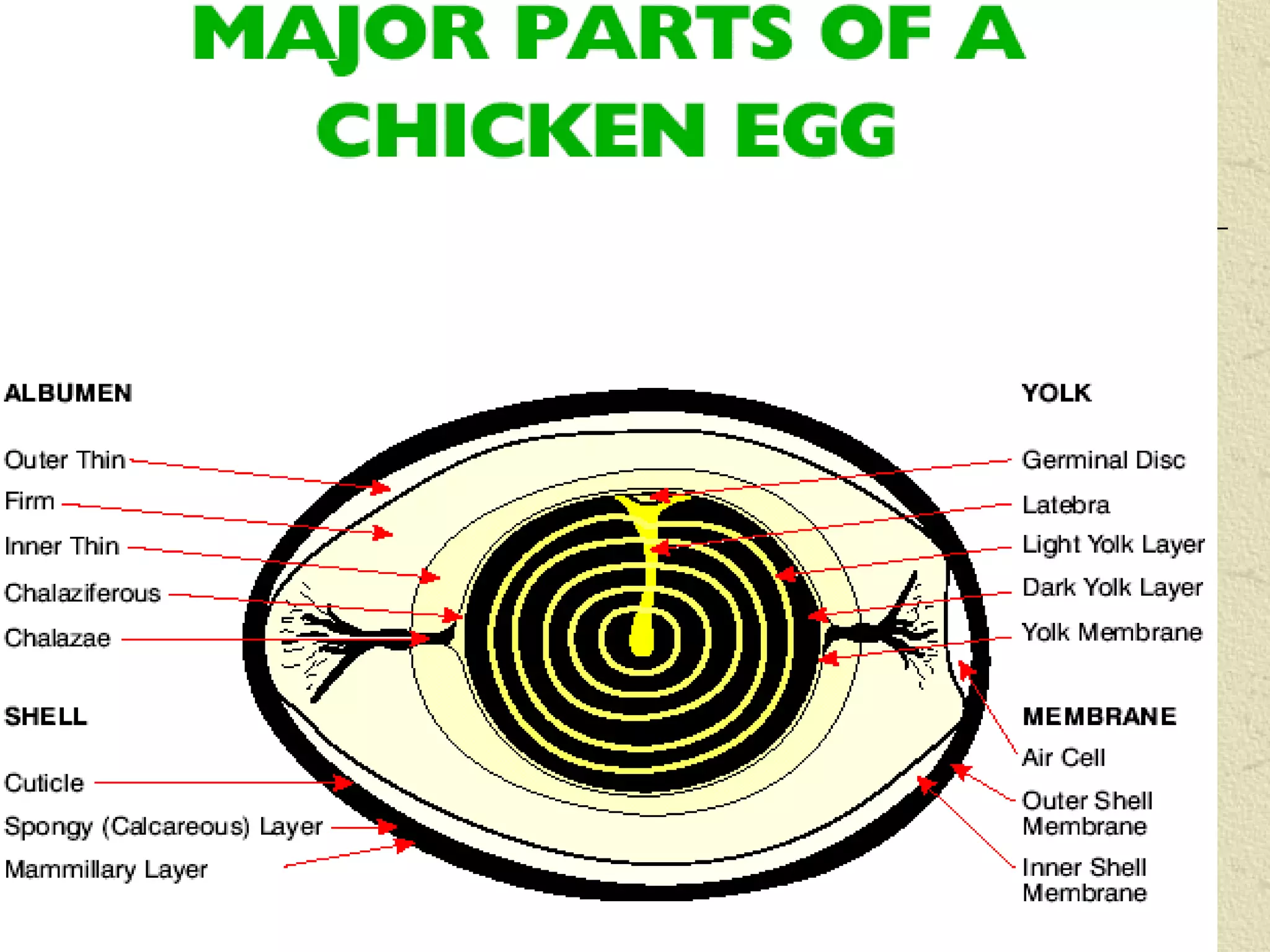 Poultry reproduction | PPT
