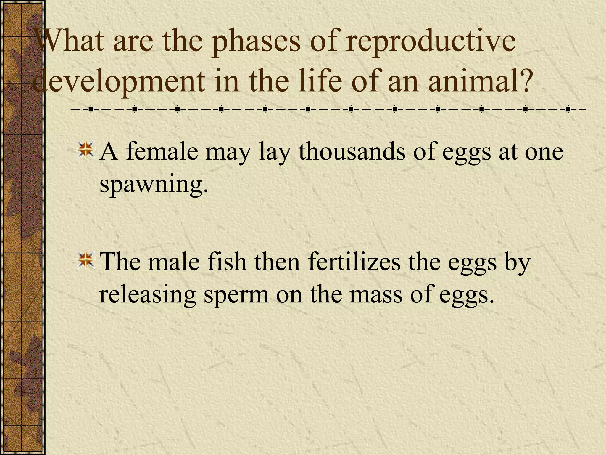 Poultry reproduction | PPT