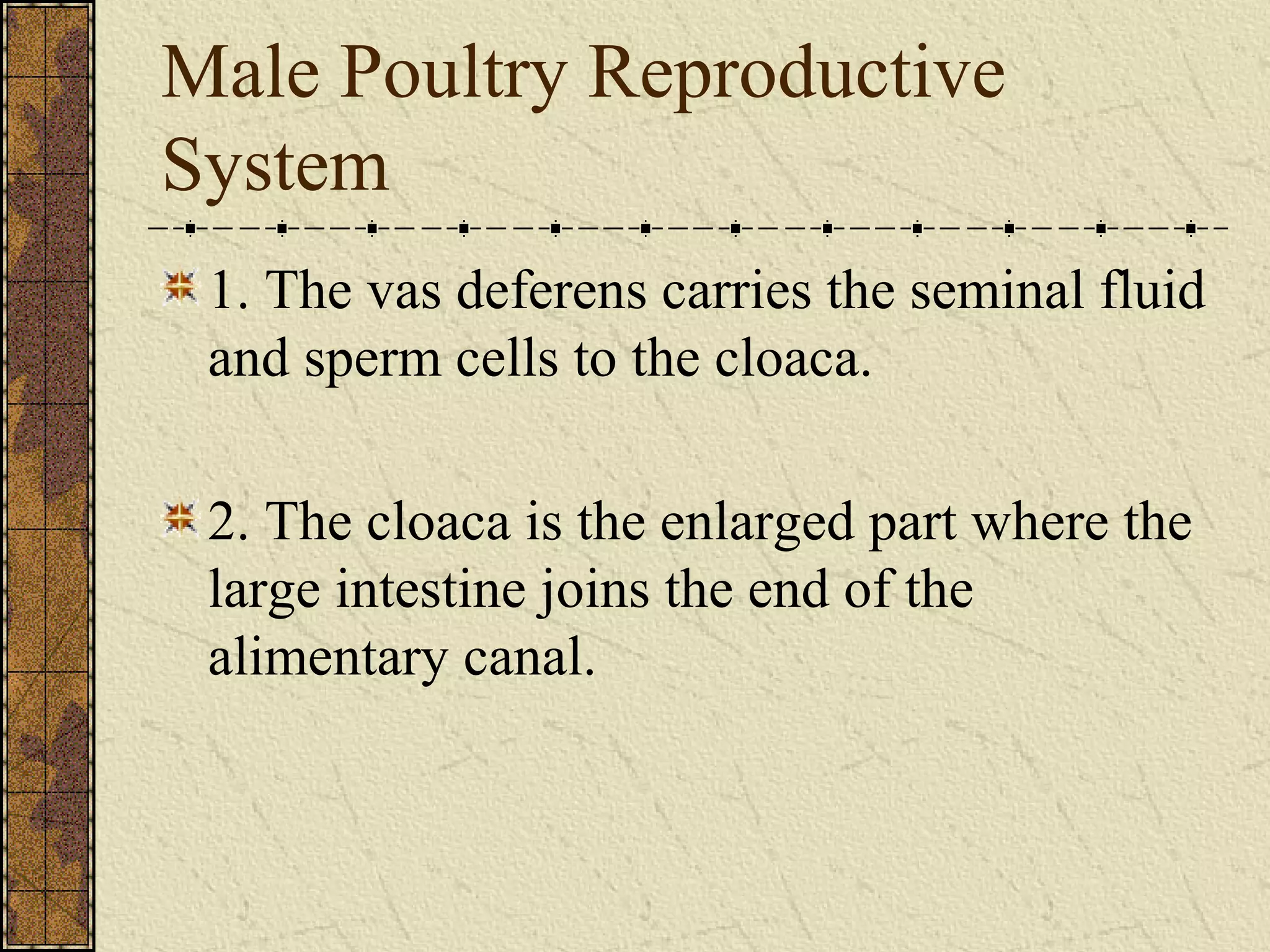 Poultry reproduction | PPT