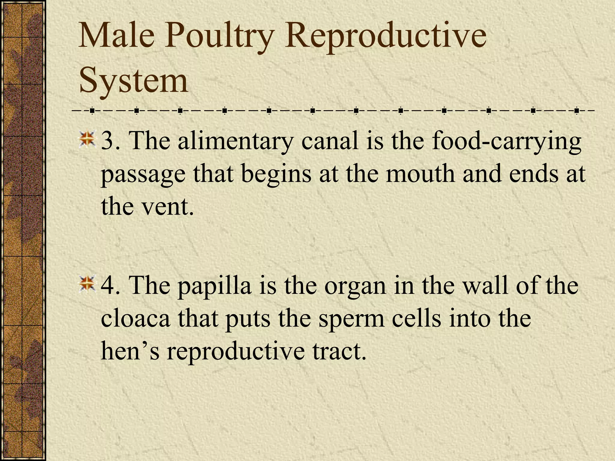 Poultry reproduction | PPT