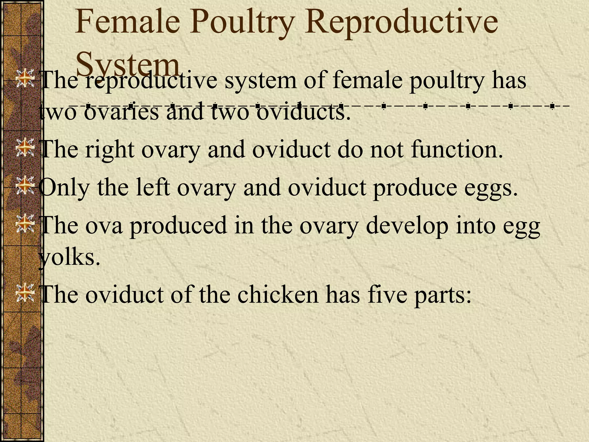 Poultry reproduction | PPT