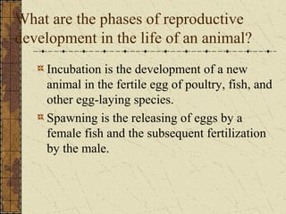 Poultry reproduction | PPT