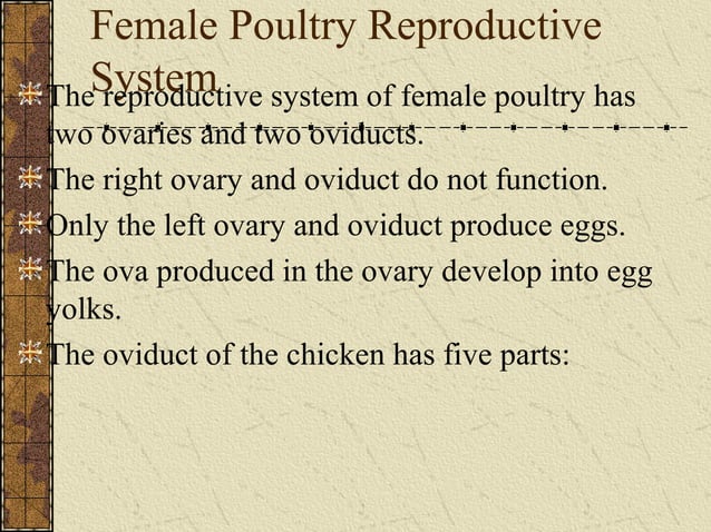 Poultry reproduction | PPT | Infertility | Reproductive Health