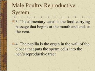 Poultry reproduction | PPT