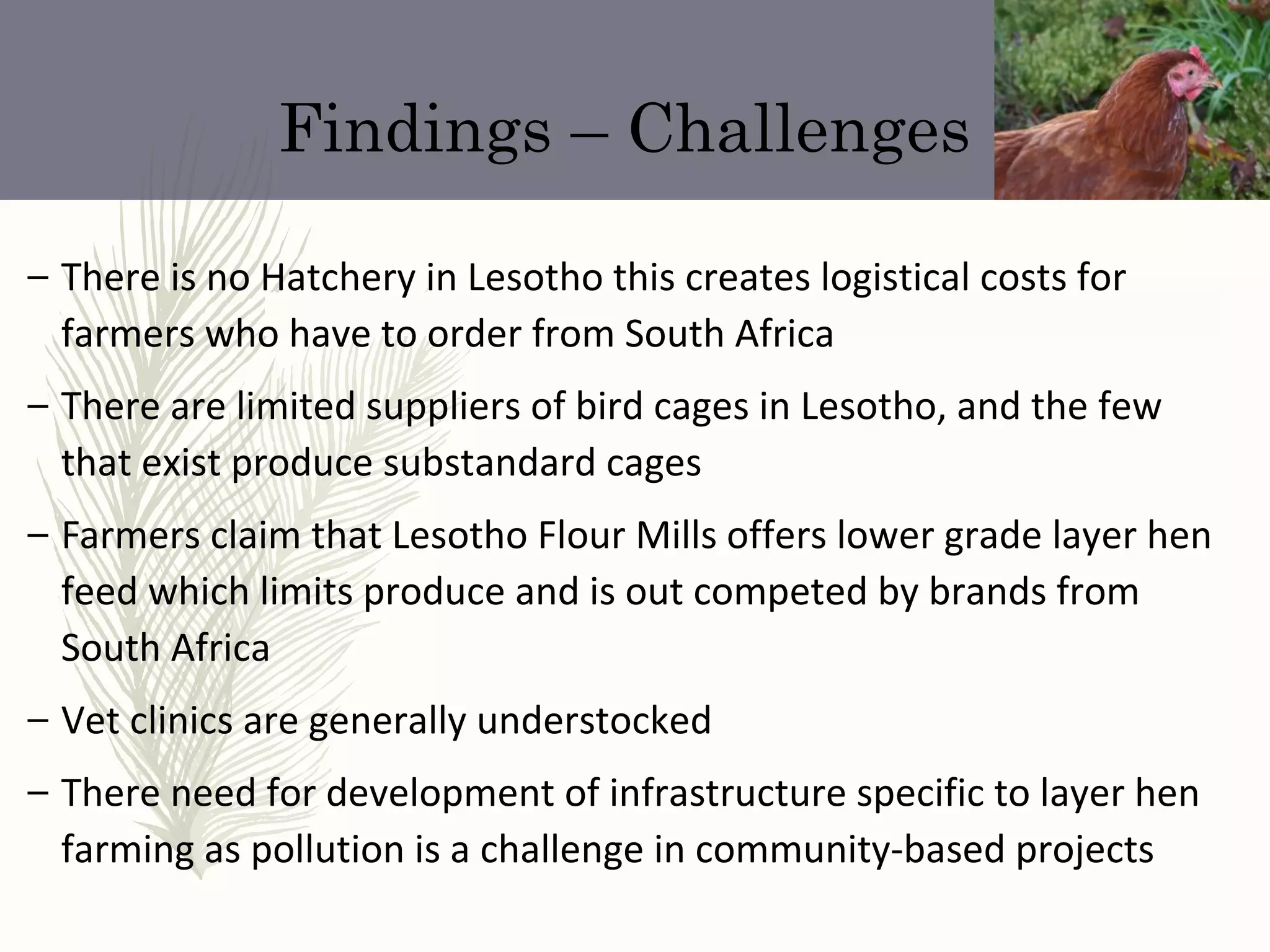 Poultry Value Chain Analysis in Lesotho - Egg Production | PPT
