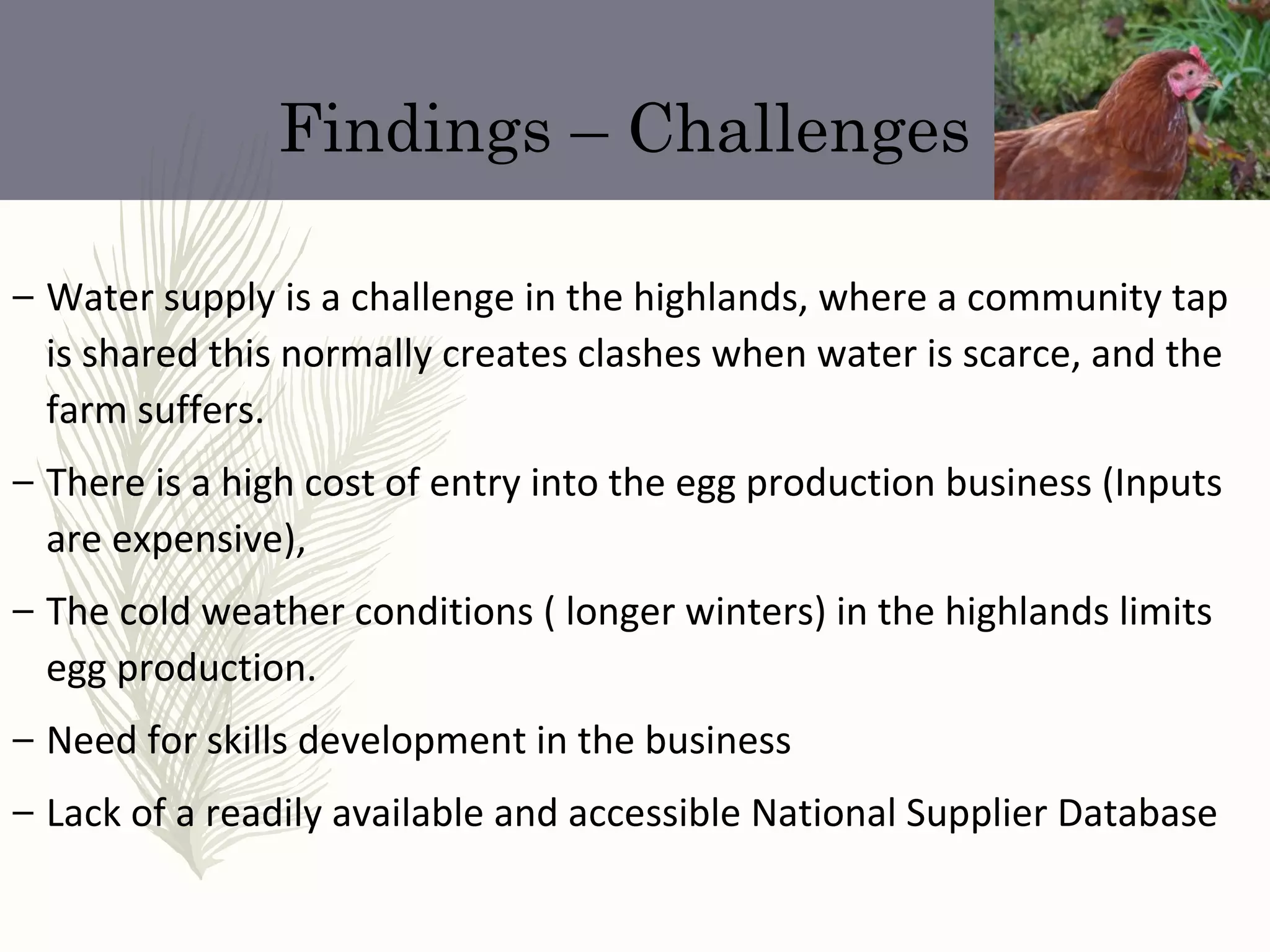 Poultry Value Chain Analysis in Lesotho - Egg Production | PPT