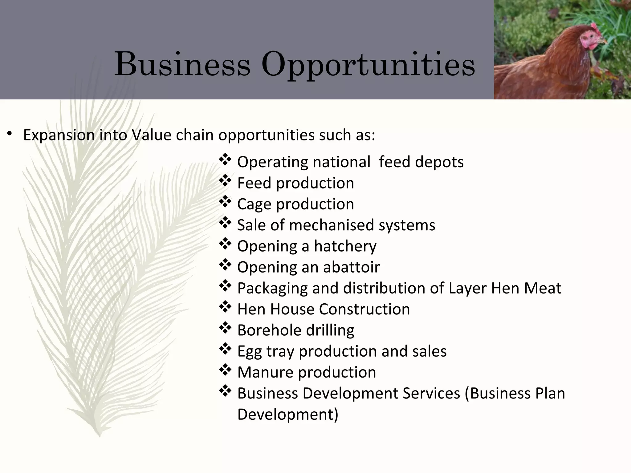 Poultry Value Chain Analysis in Lesotho - Egg Production | PPT