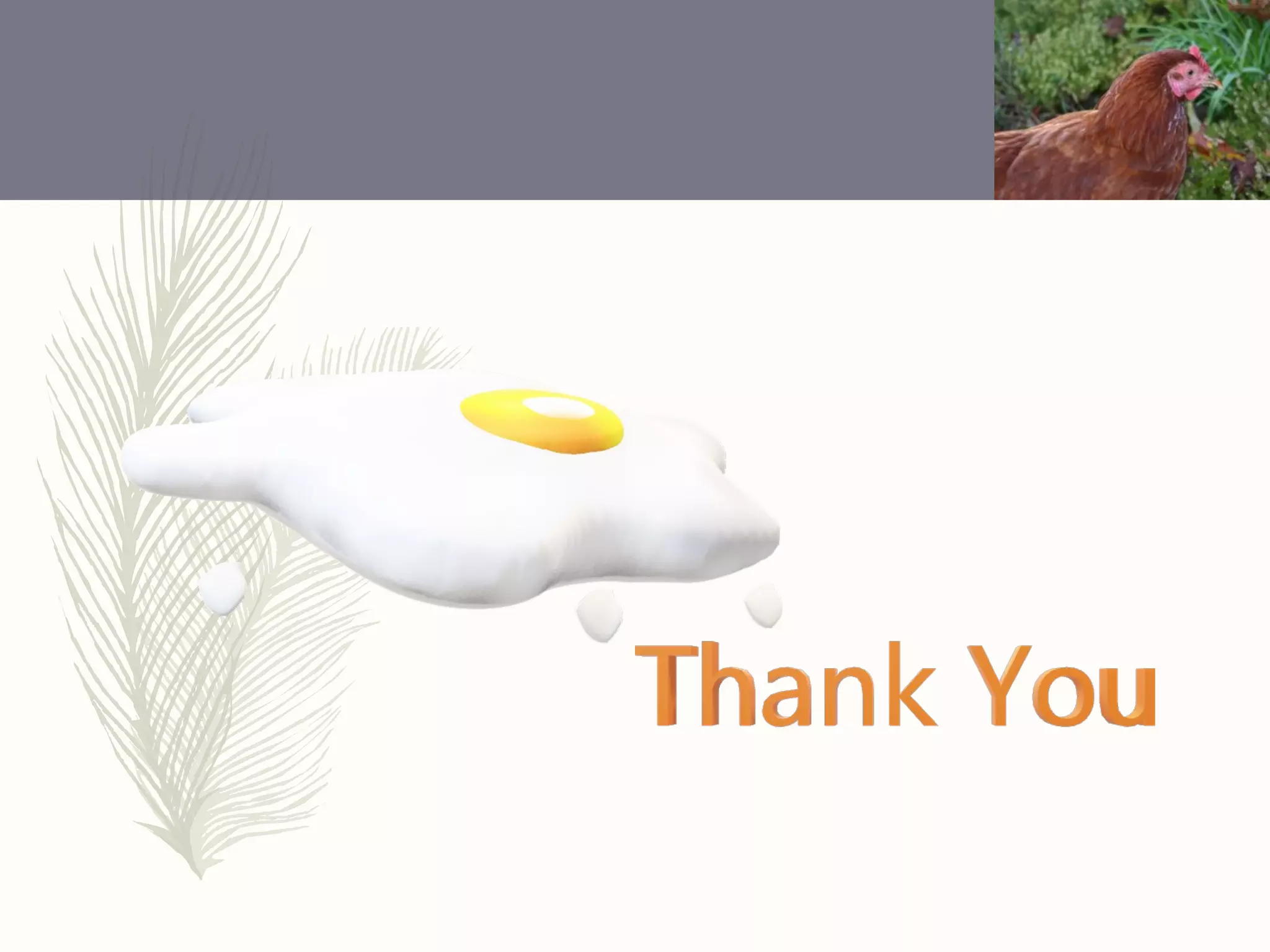 Poultry Value Chain Analysis in Lesotho - Egg Production | PPT