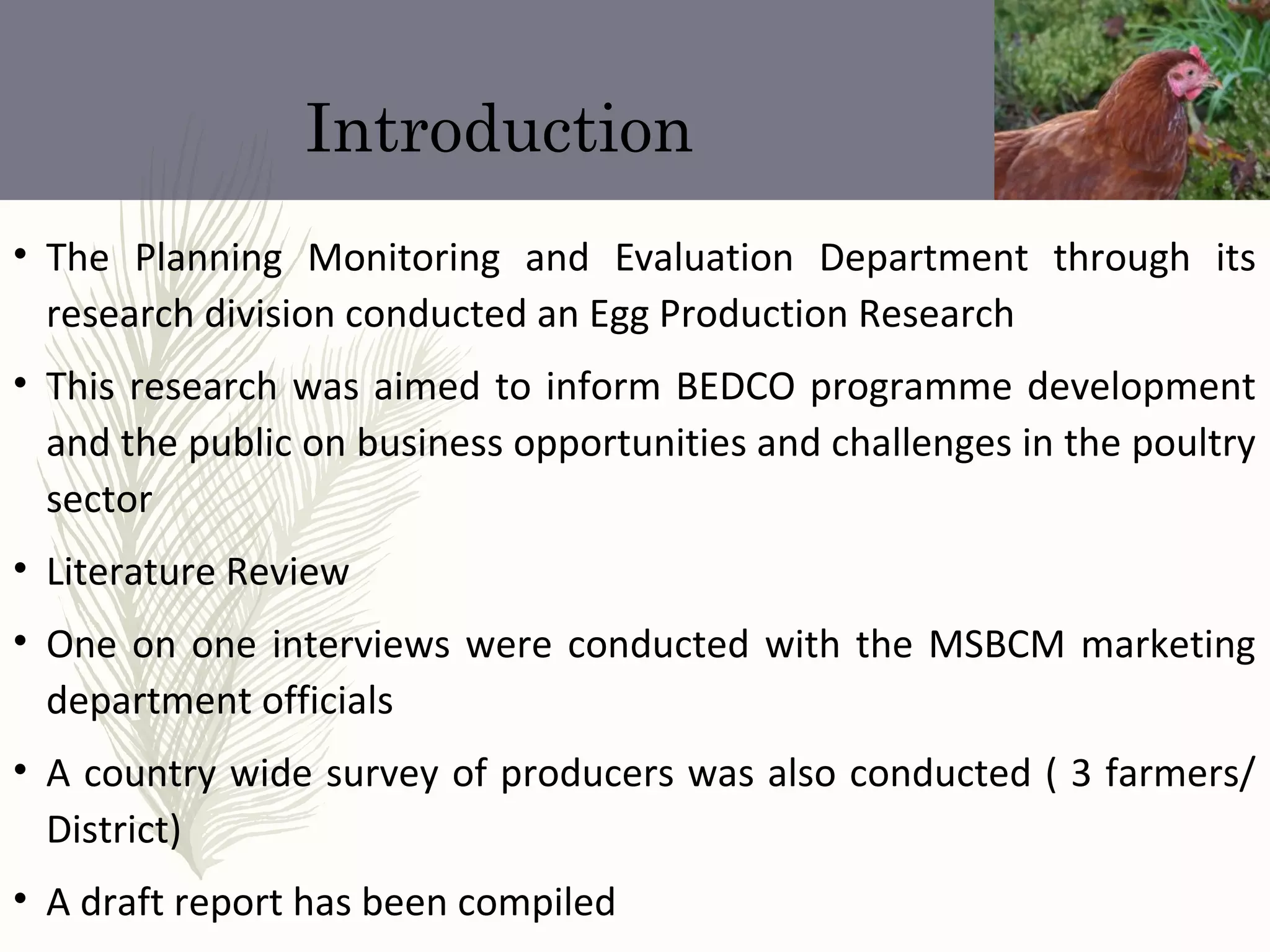 Poultry Value Chain Analysis in Lesotho - Egg Production | PPT