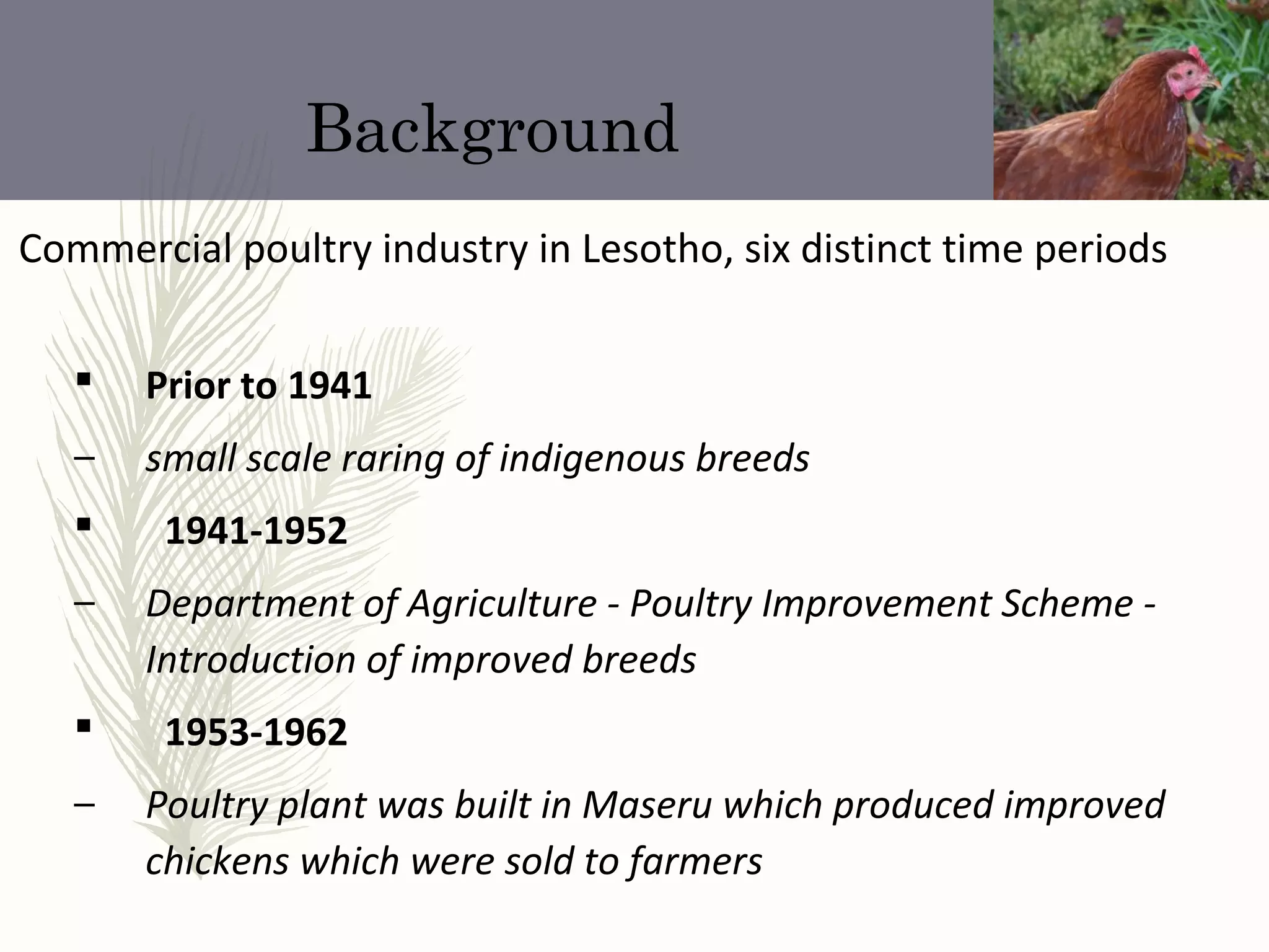 Poultry Value Chain Analysis in Lesotho - Egg Production | PPT