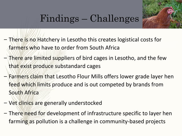 Poultry Value Chain Analysis in Lesotho - Egg Production | PPT