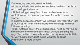 Poultry response, behavior and thermoregulation under heat stress | PDF