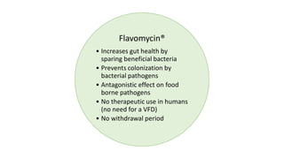 Poultry Sales Tool v1_gh.pdf