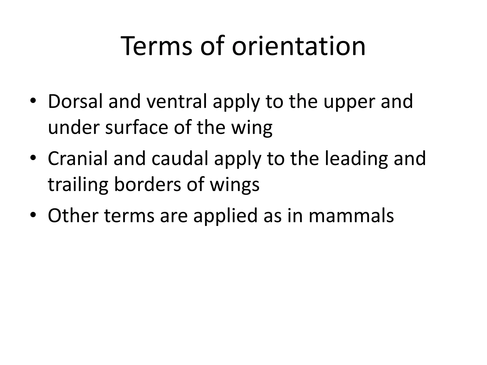 Avian Anatomy of Poultry skeleton | PDF