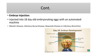 Poultry vaccination Methods | PPTX