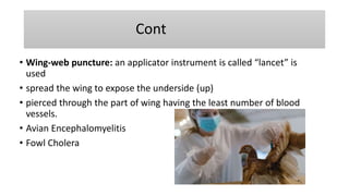 Poultry vaccination Methods | PPTX