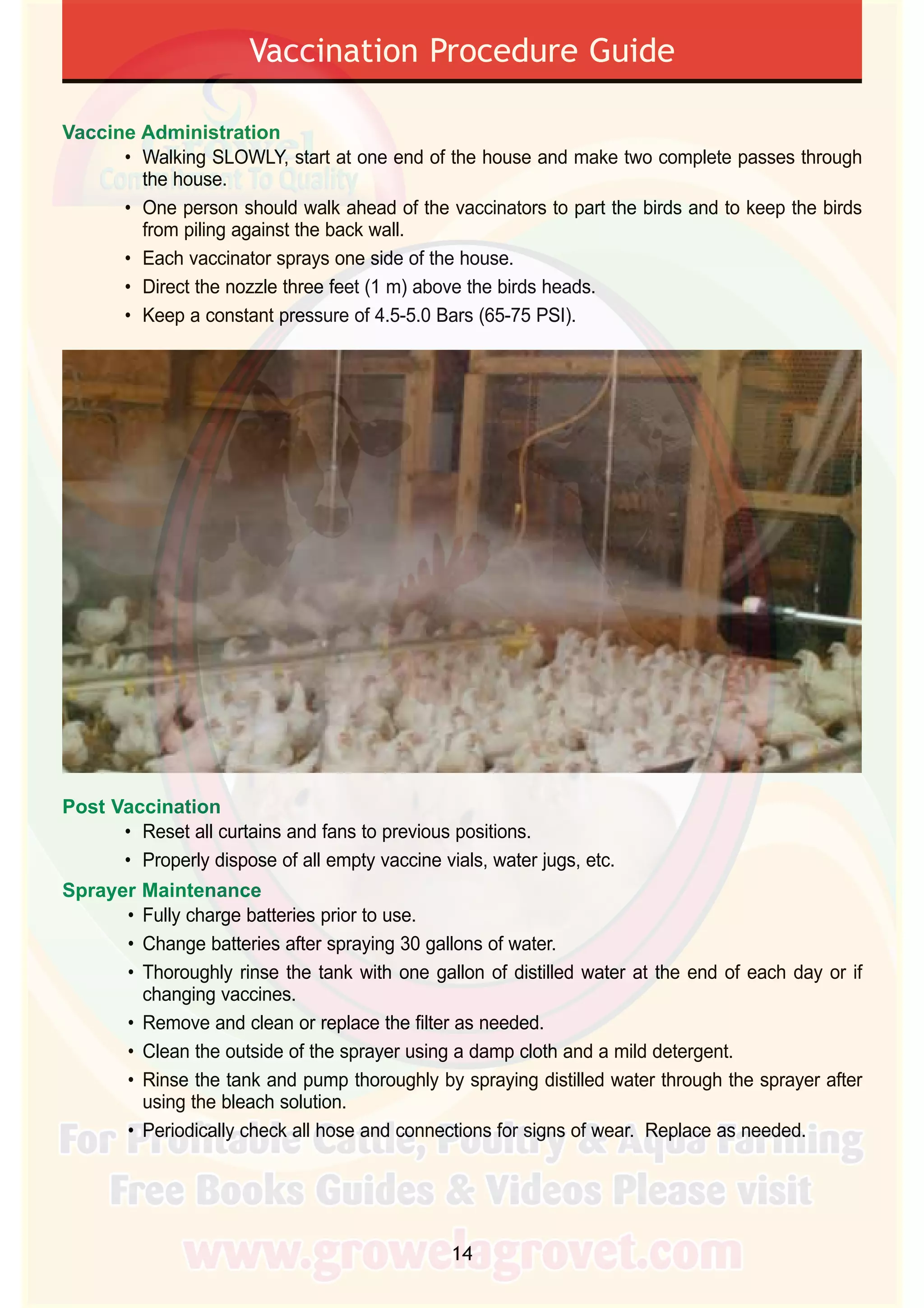Poultry Vaccination Guide | PDF