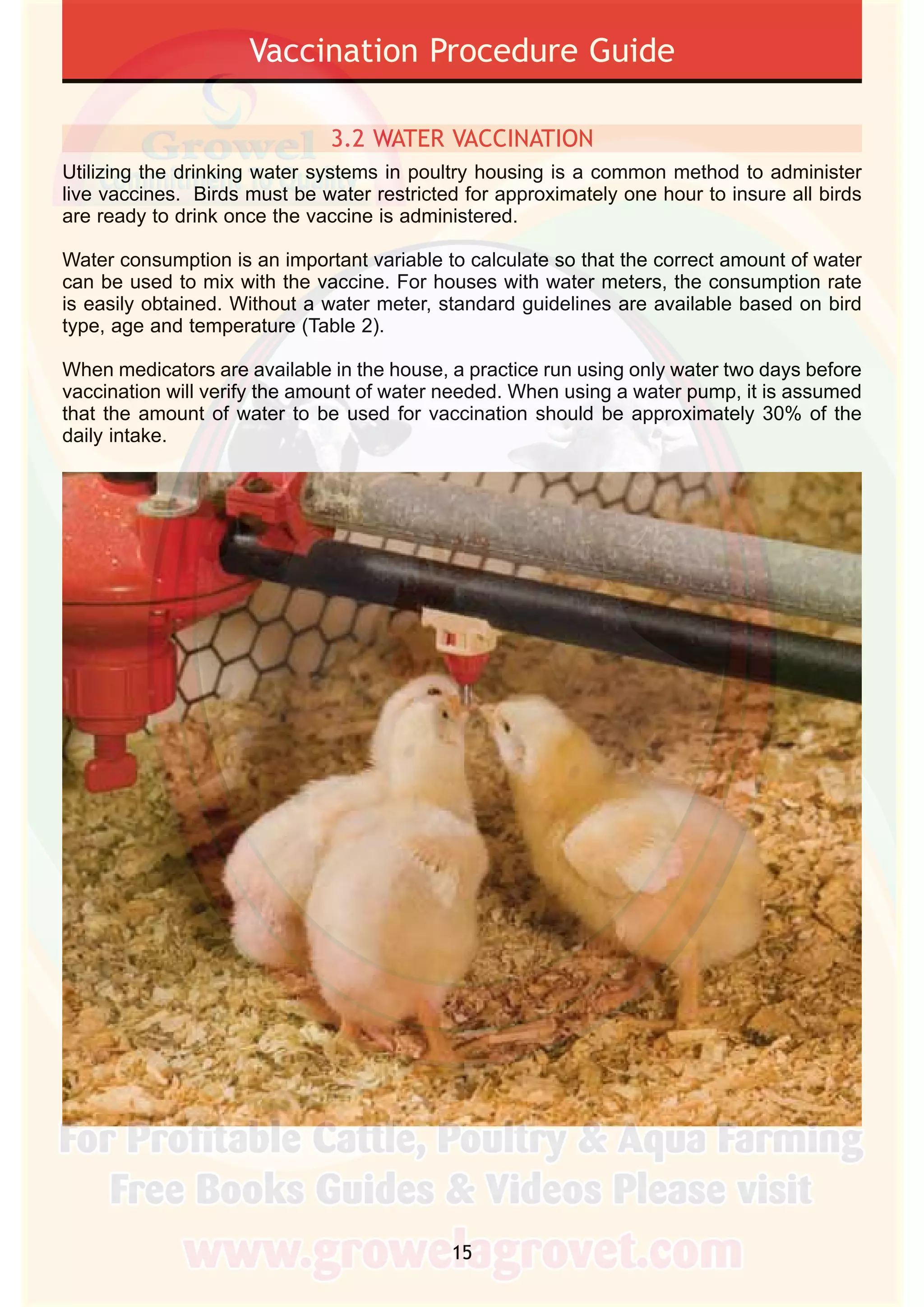 Poultry Vaccination Guide | PDF
