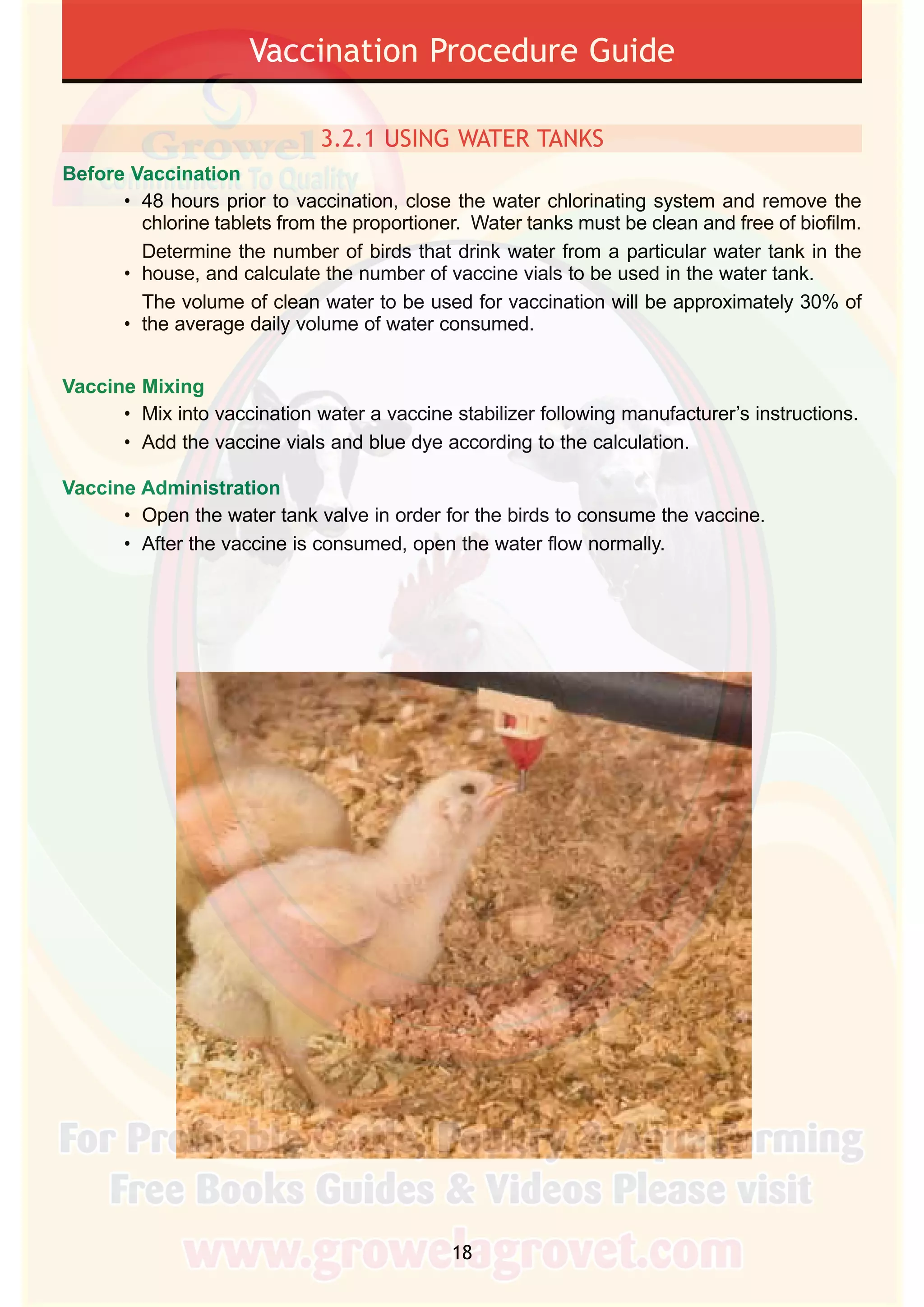 Poultry Vaccination Guide | PDF