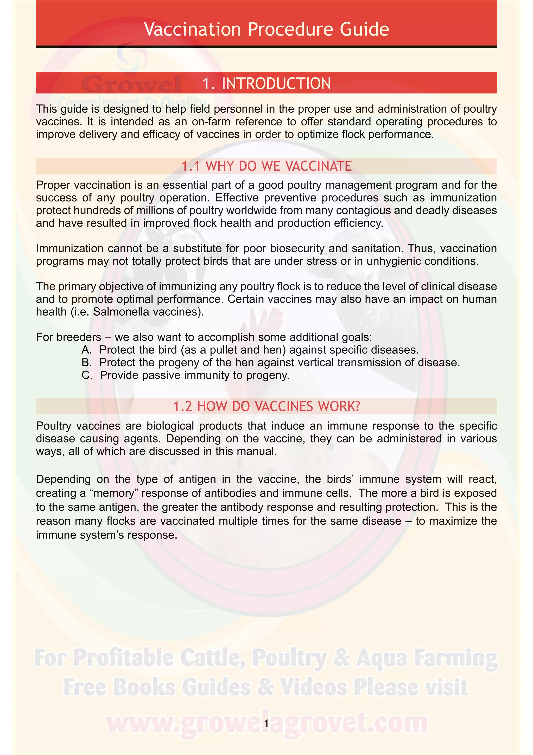 Poultry Vaccination Guide | PDF