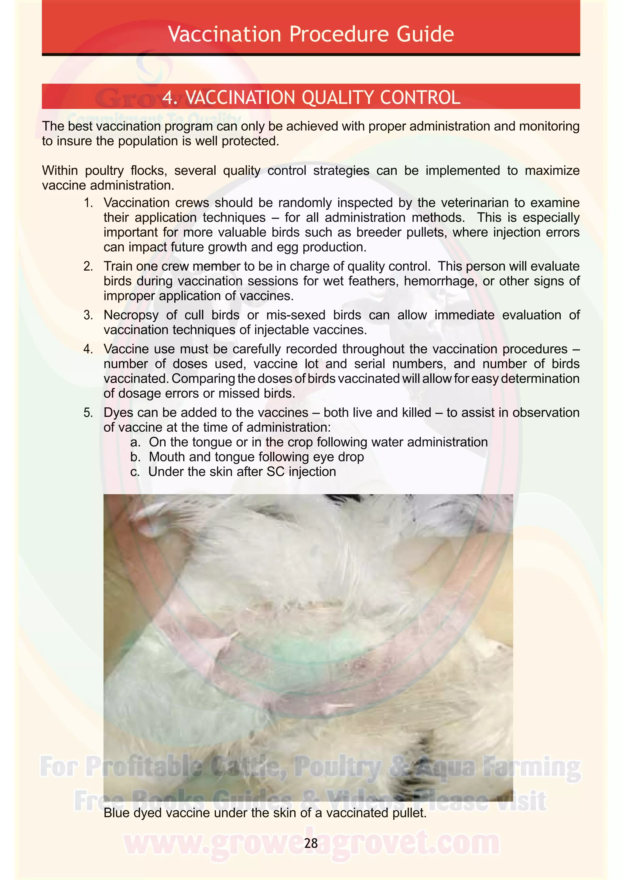 Poultry Vaccination Guide | PDF