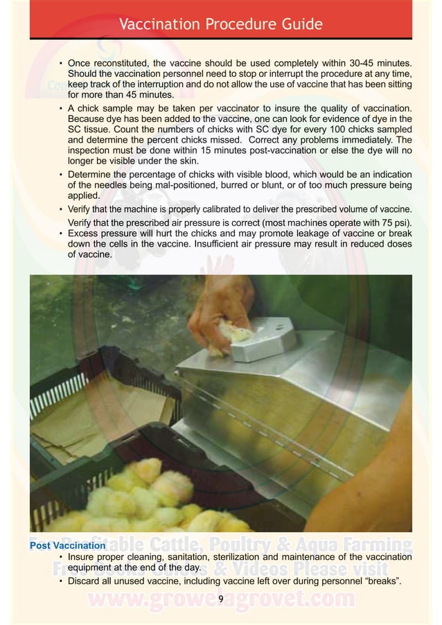 Poultry Vaccination Guide | PDF