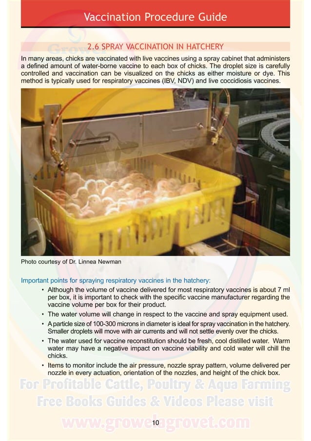 Poultry Vaccination Guide | PDF