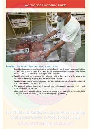 Poultry Vaccination Guide | PDF