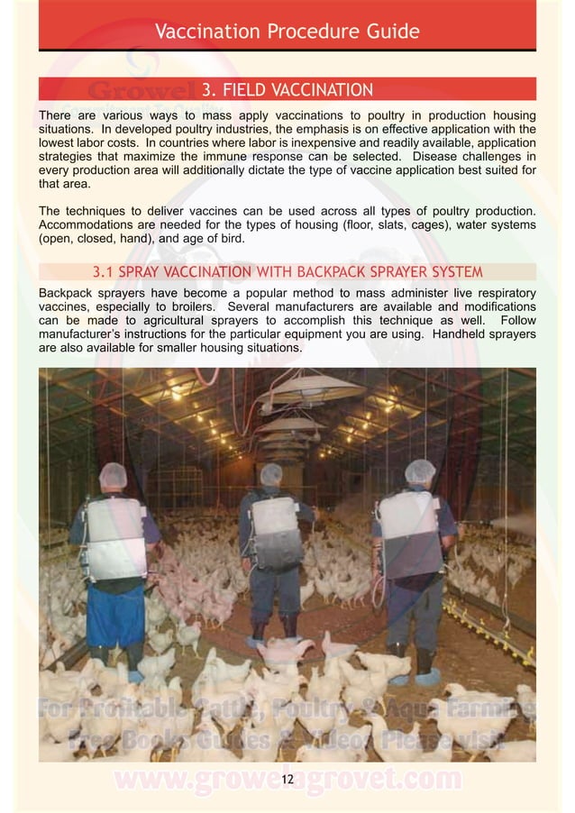 Poultry Vaccination Guide | PDF