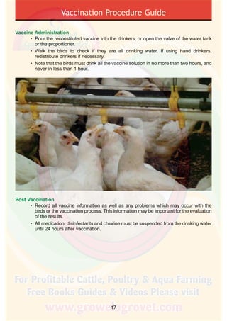 Poultry Vaccination Guide | PDF