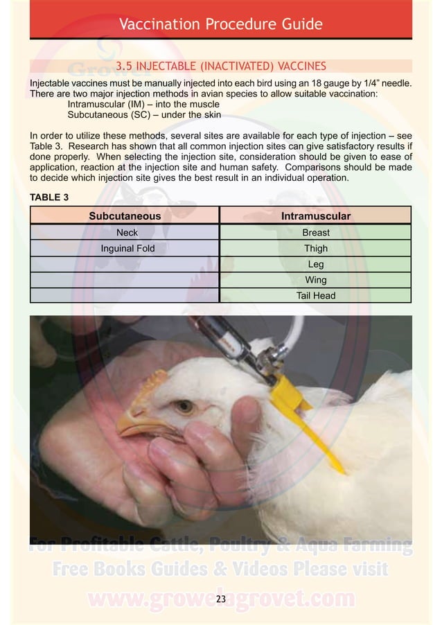 Poultry Vaccination Guide | PDF