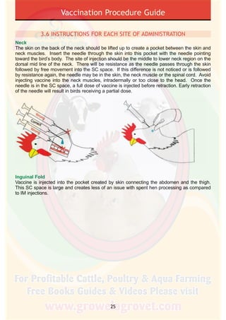 Poultry Vaccination Guide | PDF