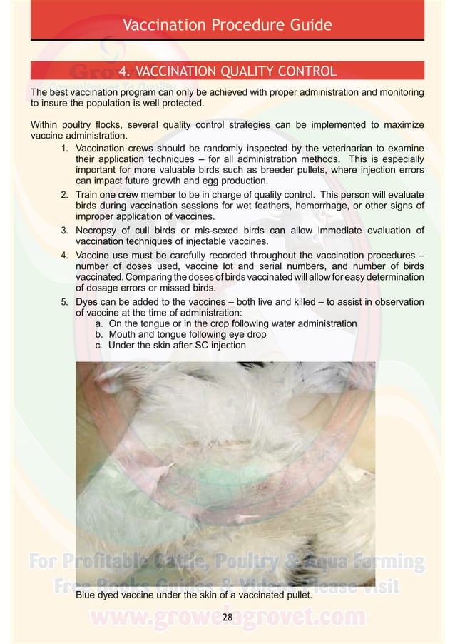 Poultry Vaccination Guide | PDF