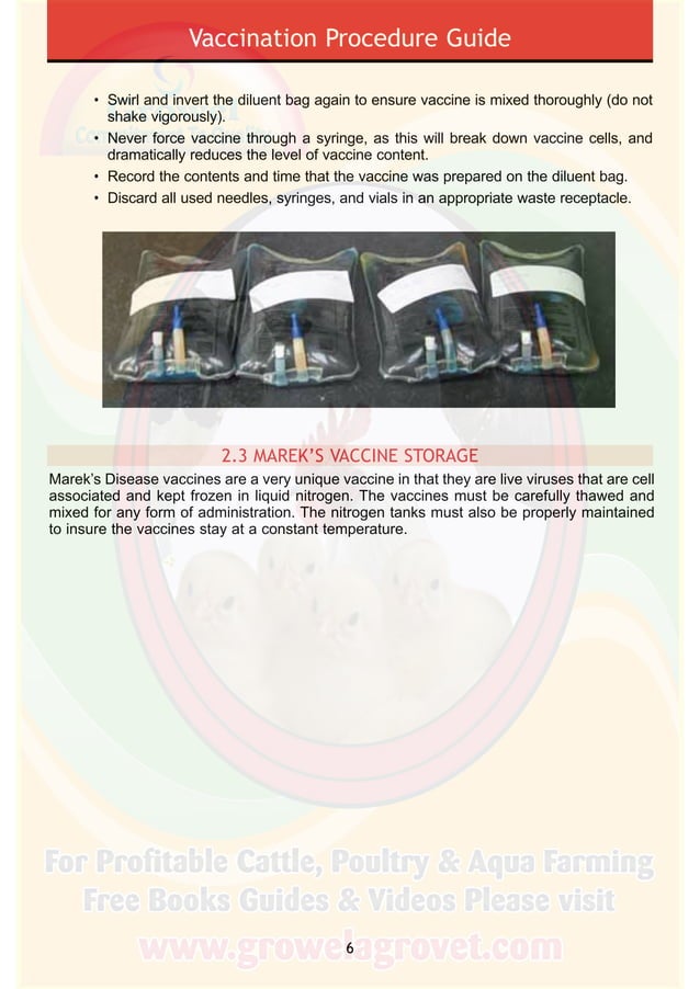 Poultry Vaccination Guide | PDF