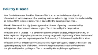 Poultry Vaccine – Industry Growing at 6.9 CAGR | PDF