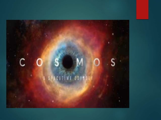 Pounce and bounce | PPTX