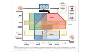 Computer based Cognitive Rehabilitation; From introduction to practice ...