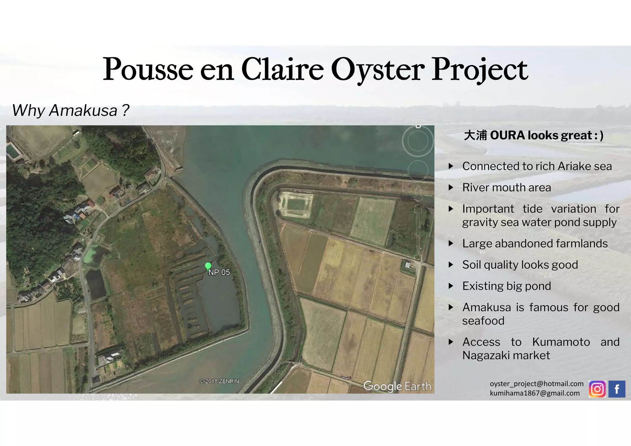 Pousse en claire oyster project | PPT