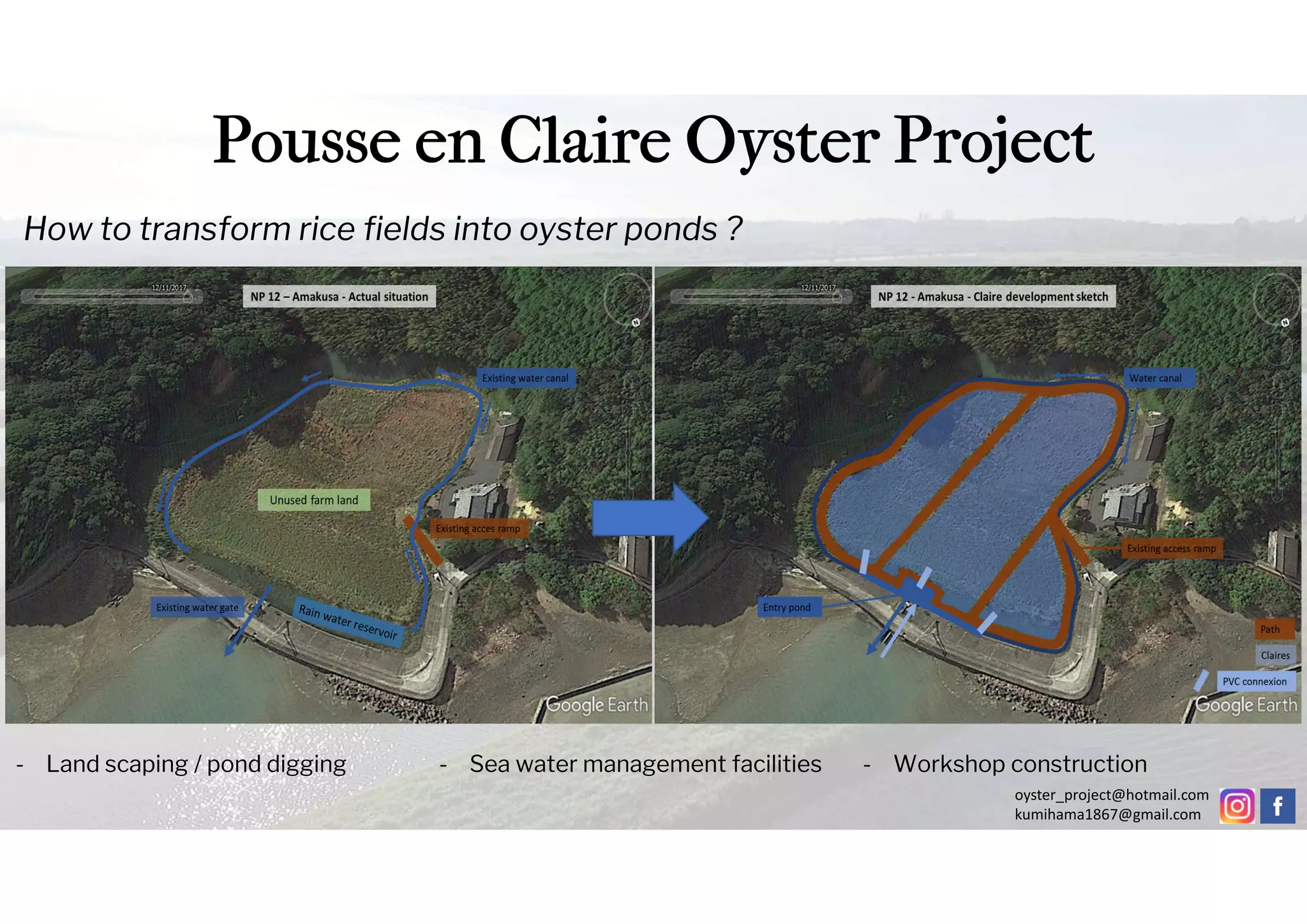 Pousse en claire oyster project | PPT