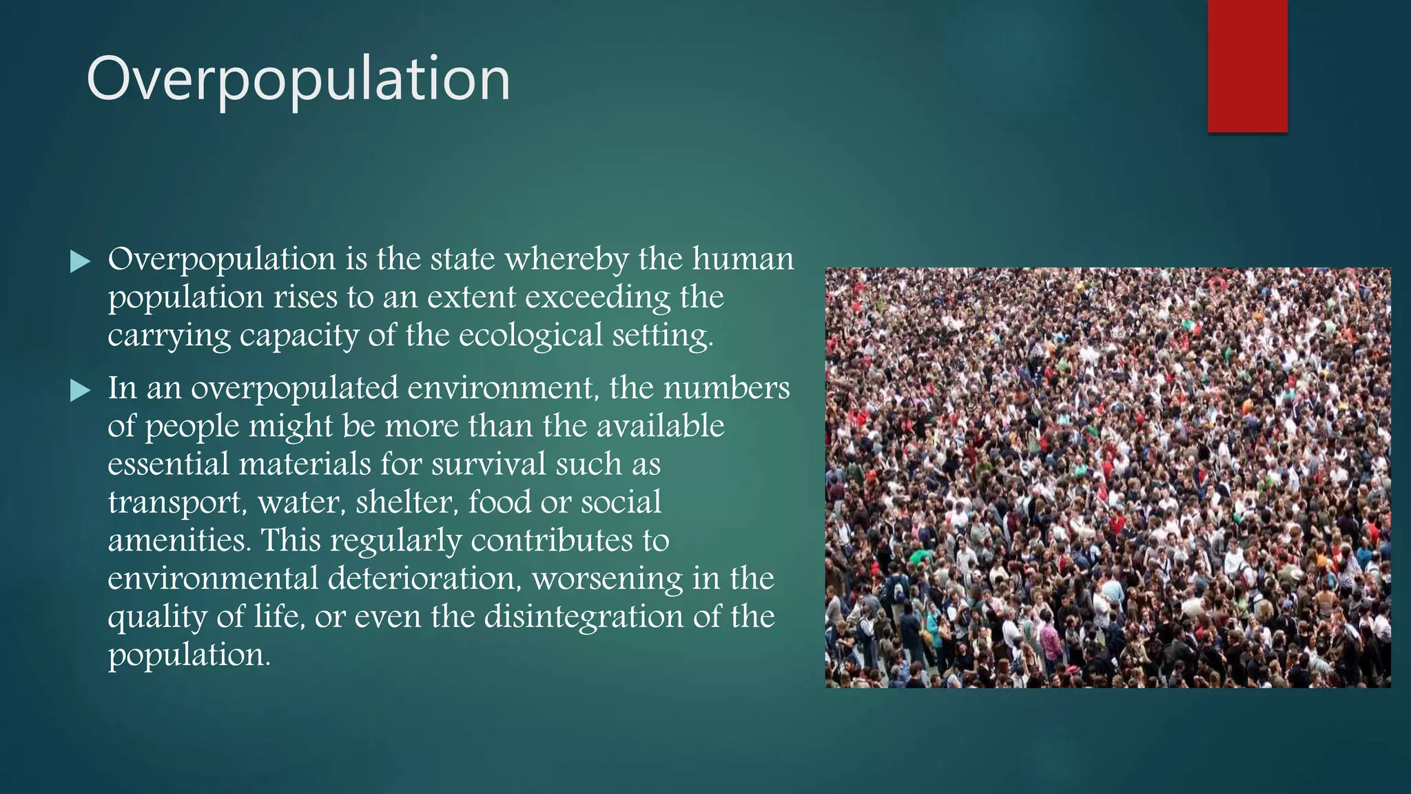Poverty, over population and malnutrition cycle | PPTX