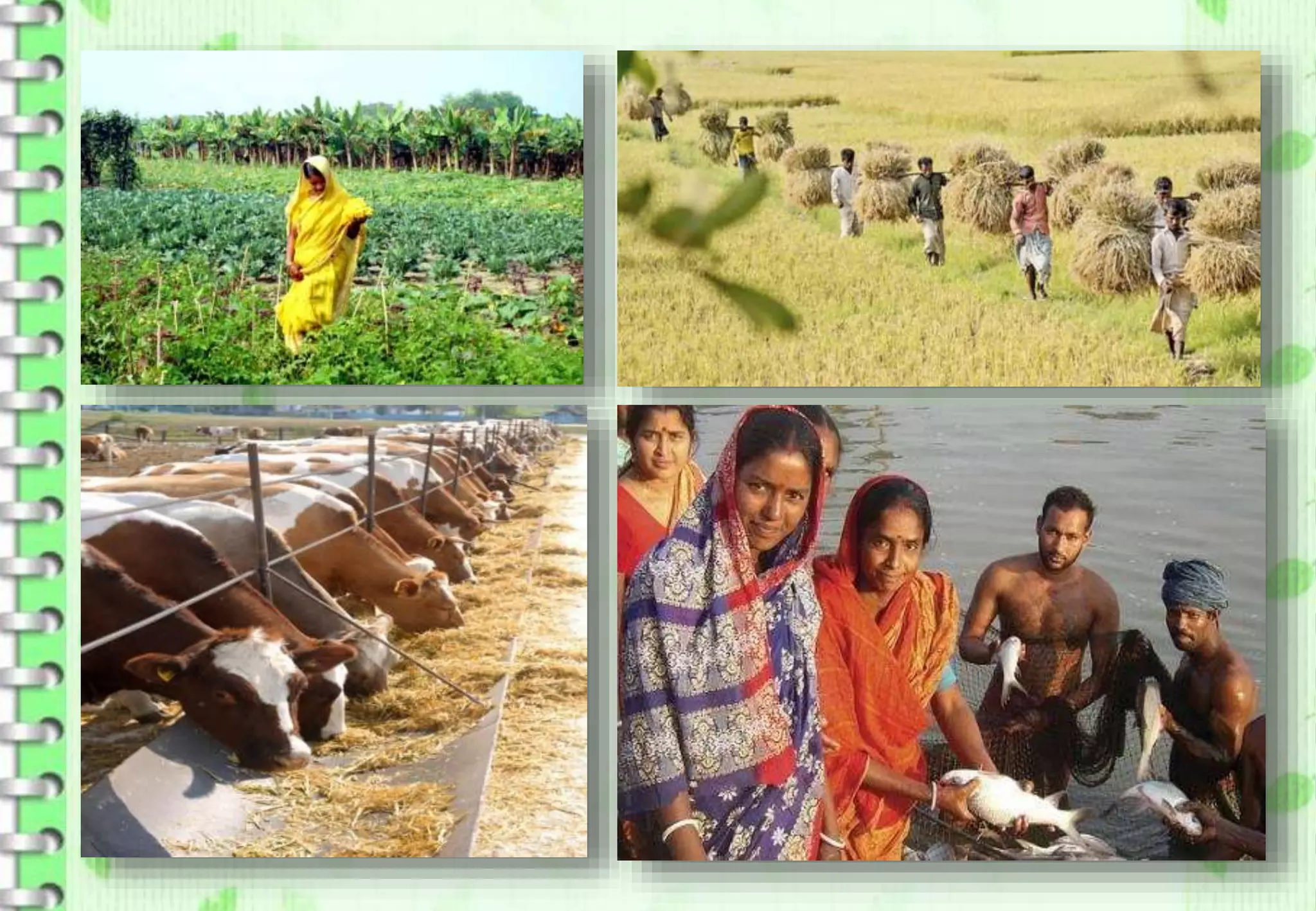 Poverty Reduction Models.pptx