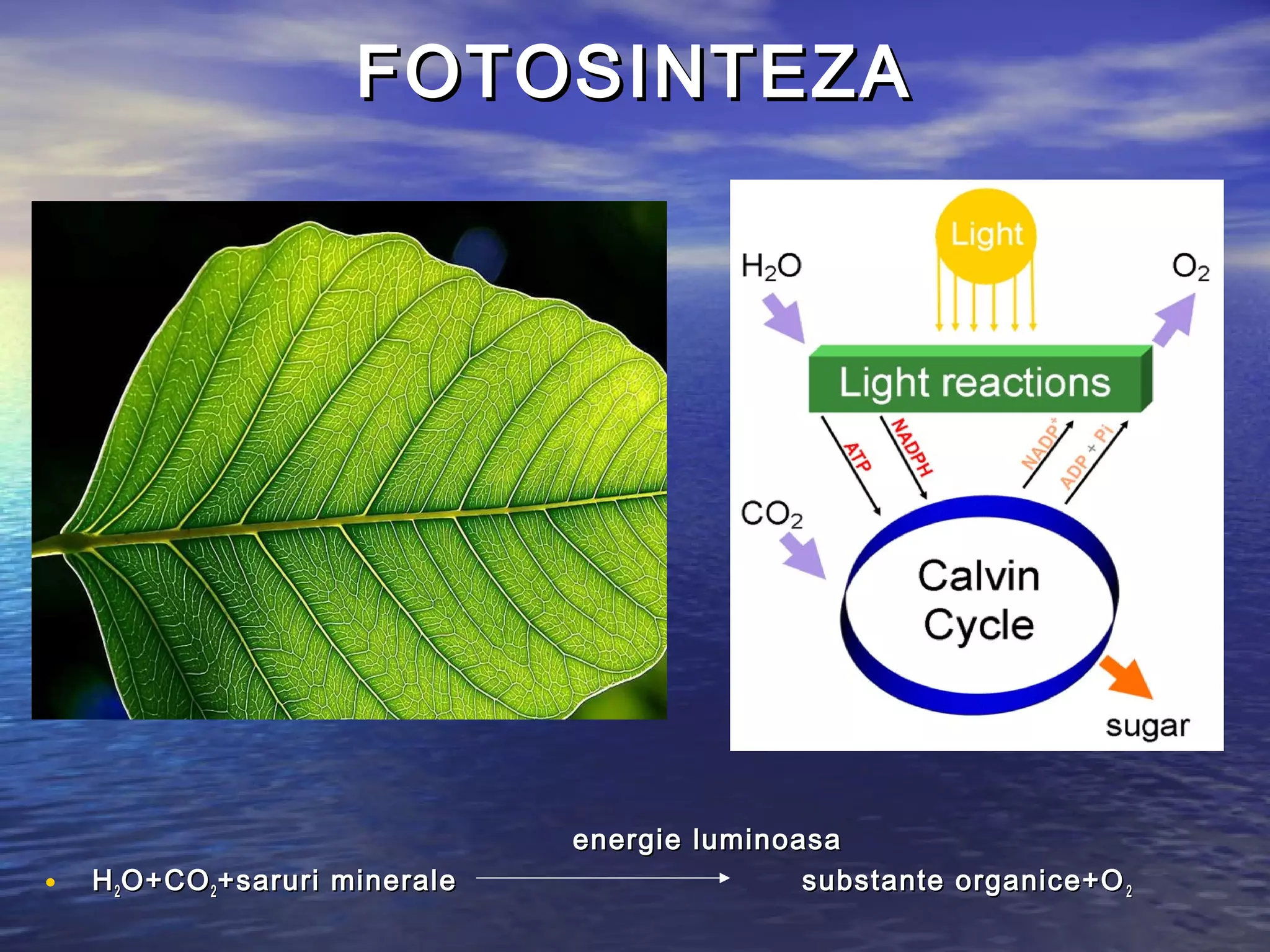 Povestea apei | PPT