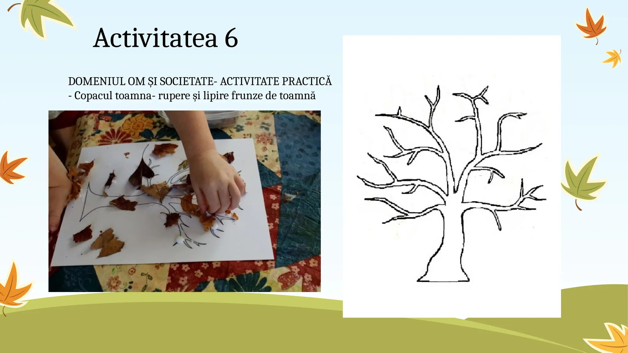 POVESTEA CRIZANTEMEI .pptx